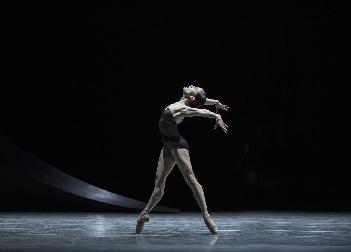 Elle Macy | Principal Dancer