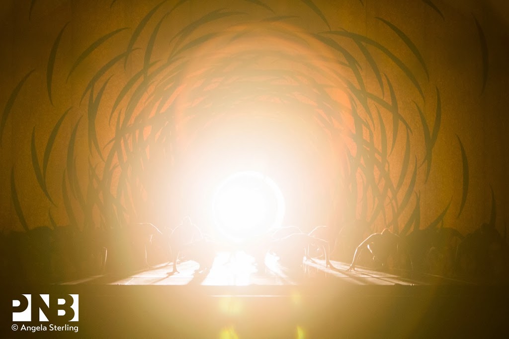 Peter Boal on Crystal Pite's Emergence | PNB Blog