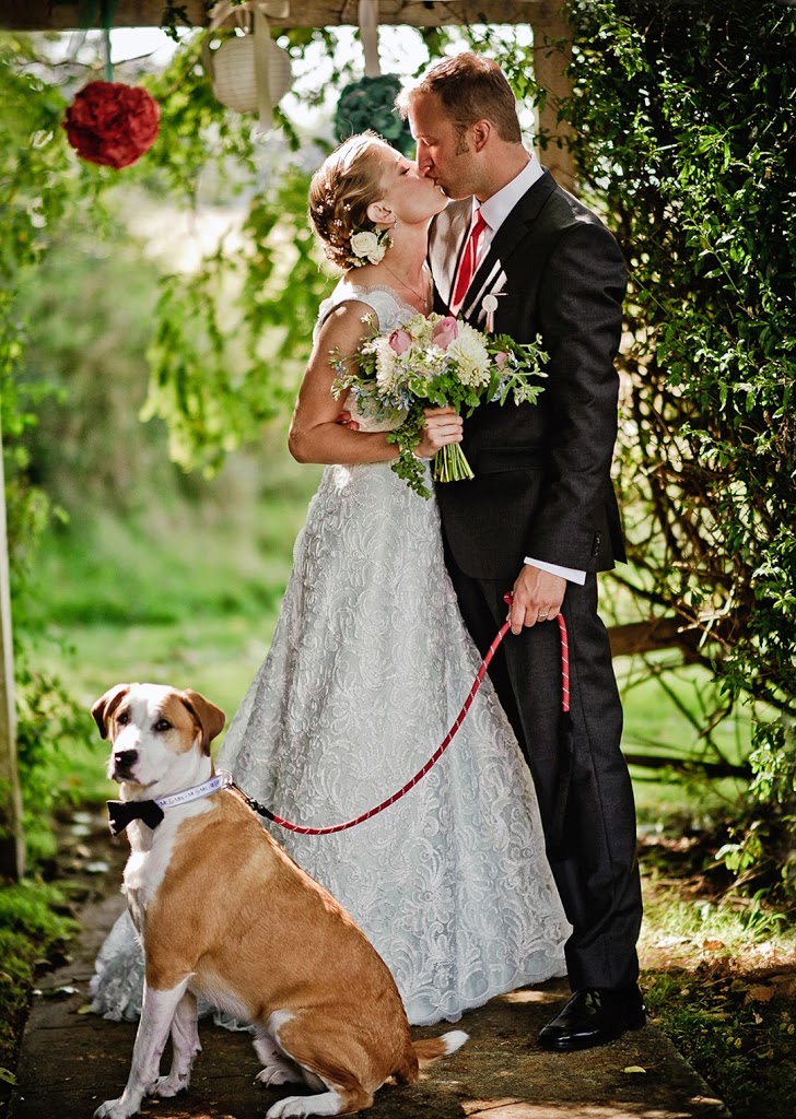 Four Weddings (and a Bachelor of Arts) | PNB Blog